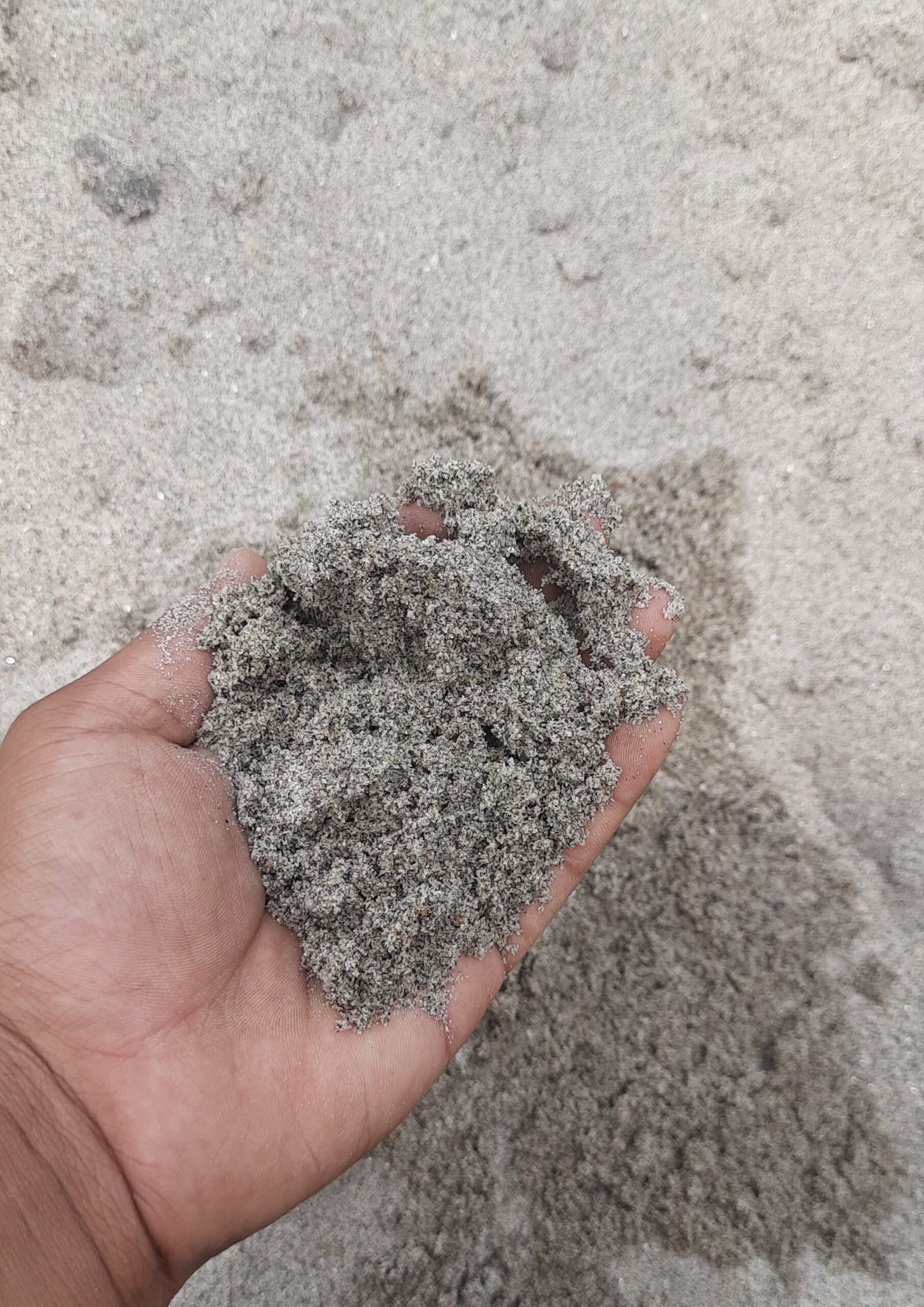 TANGAIL BHUAPUR SAND - ConstructionMart