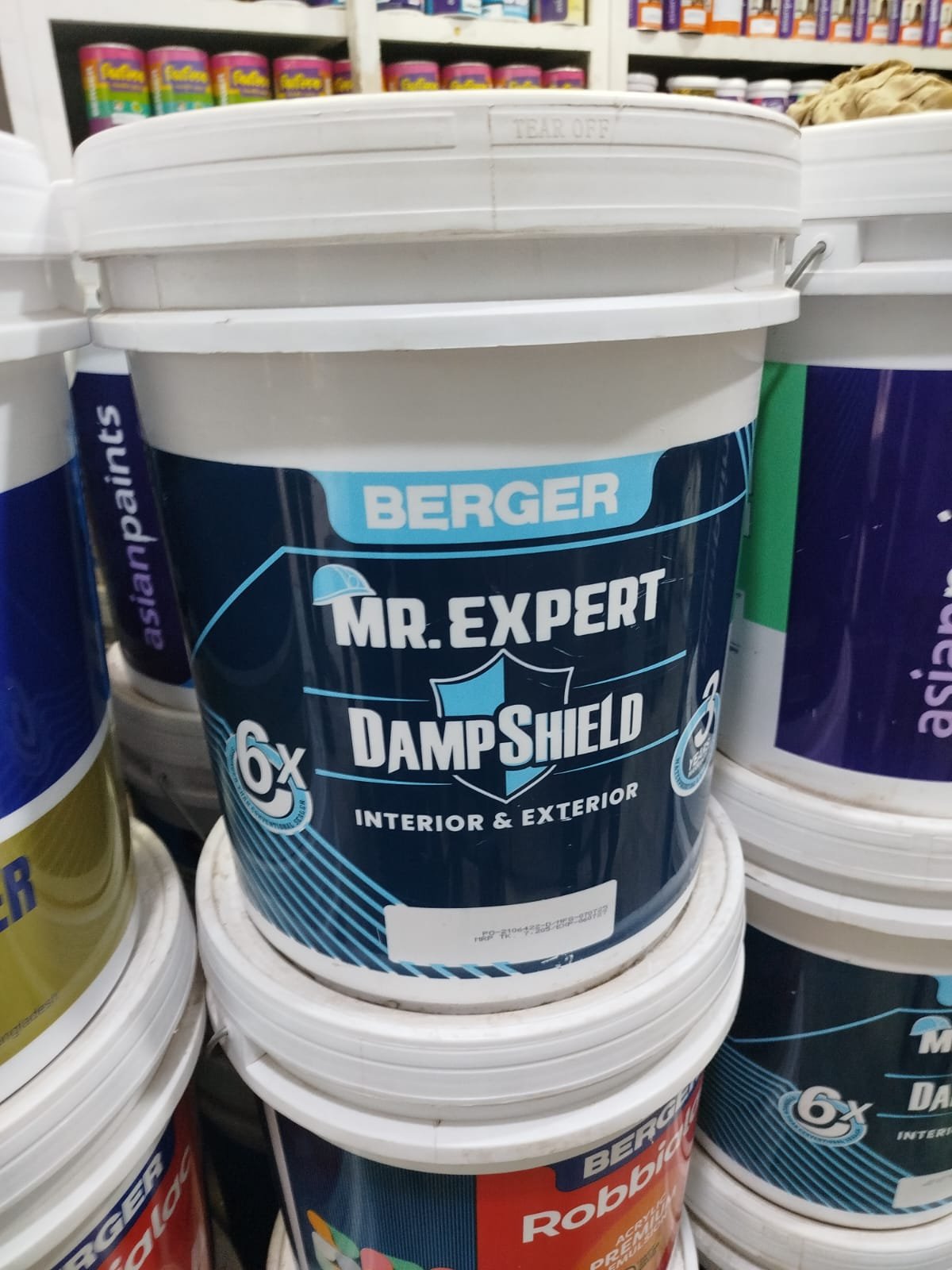 MR. Expert Damp Shield by Berger - ConstructionMart